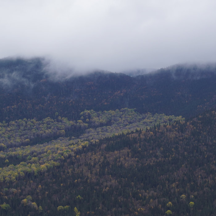 Pente-Douce | Arbee & Le Code | Le Code