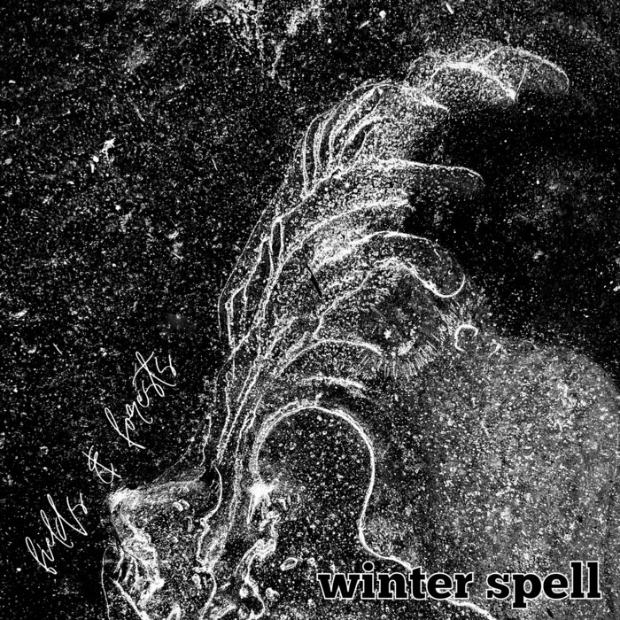 Winter Spell | Fields & Forests