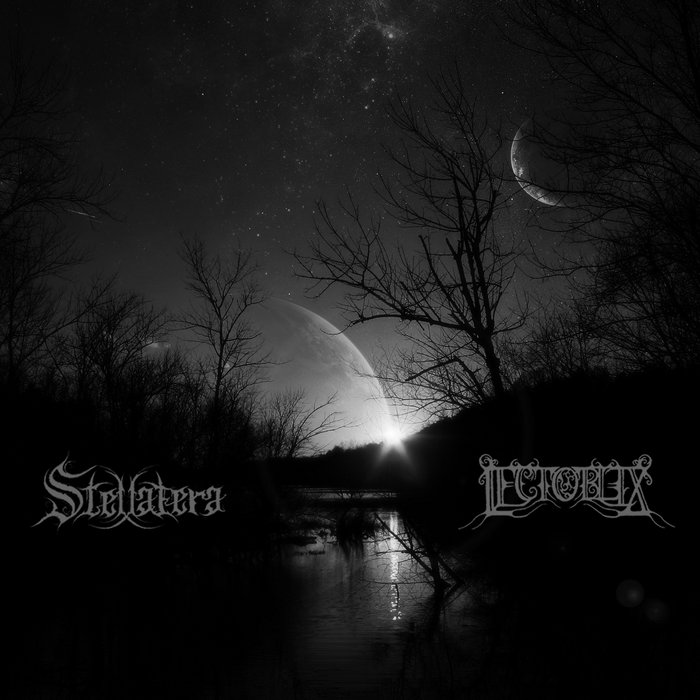 Split | Stellafera / Lectoblix | Lectoblix