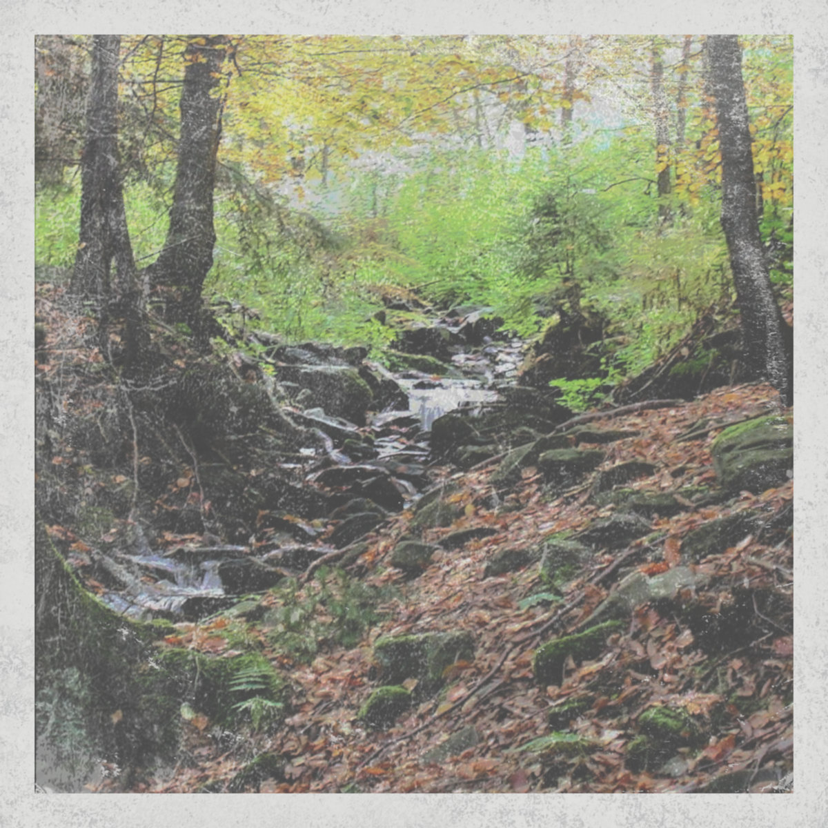 Ambient Nature Tape | Dierksimus
