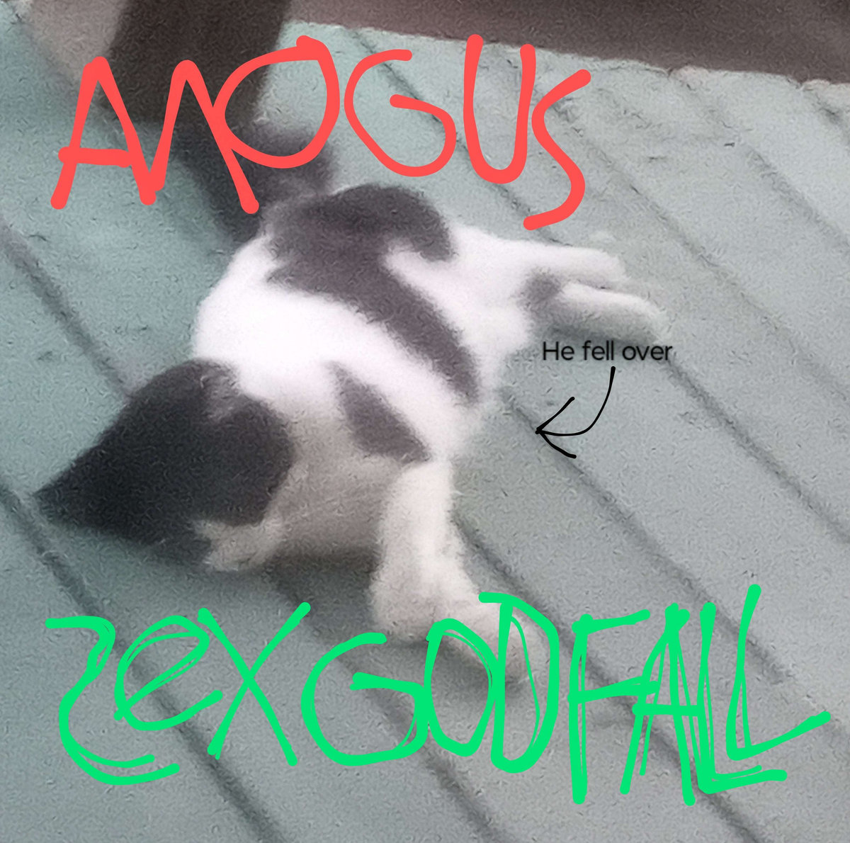 chugging Stillwater out of the skibidi toilet with the alpha beta sigma ...