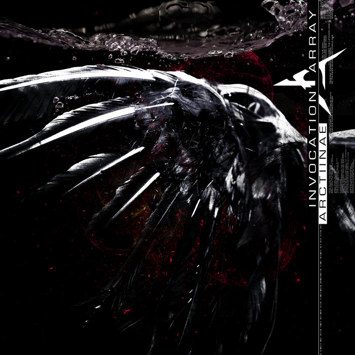 Arctiinae + Instrumentals | Invocation Array