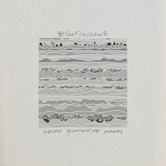 Seven Quarantine Poems | The Flashbulb