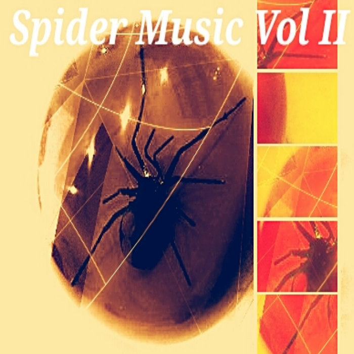 Spider Music Vol II | Music For Spiders
