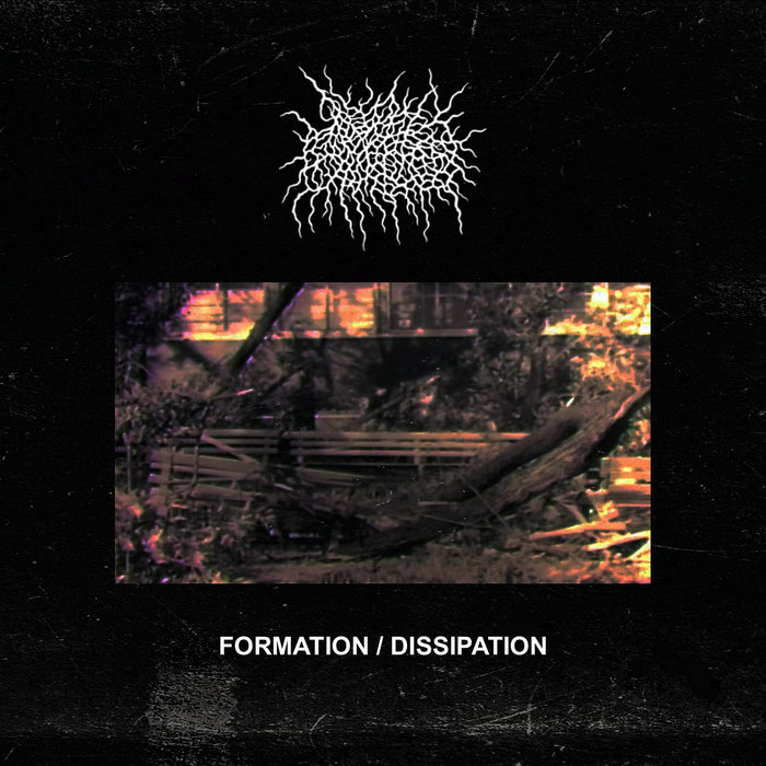 Formation / Dissipation | Writhing | Bile Ducts