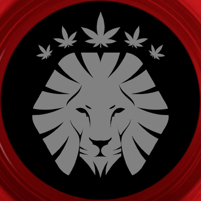 My Sound / Another Hit Song | Unknown Artist | Fokuz Recordings