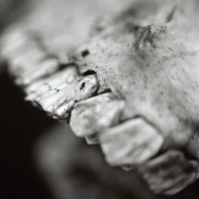 Copperhead, Cottonmouth | I, Parasite