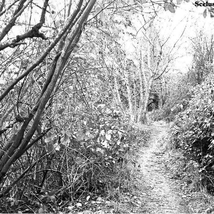 Baby Face Finster | Scelus | Crandell