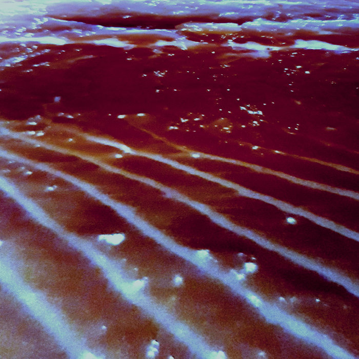 419 [Fish] | Sequential Switch