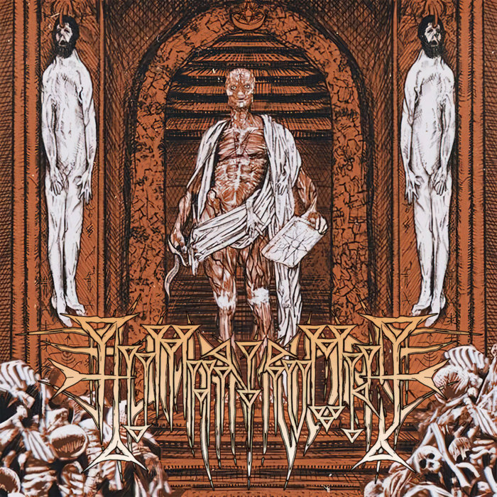 Special Leather | Human Ivory | The Digging Squid