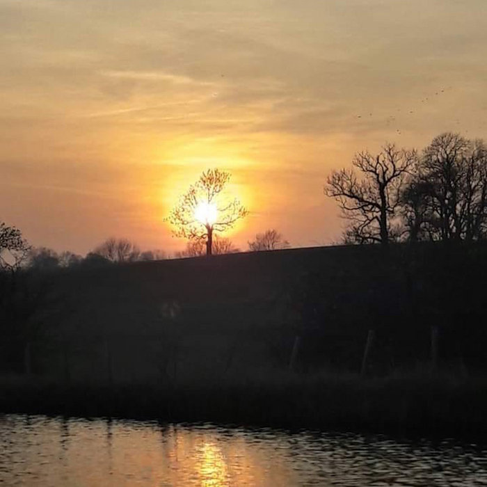 Point of Light | D1G