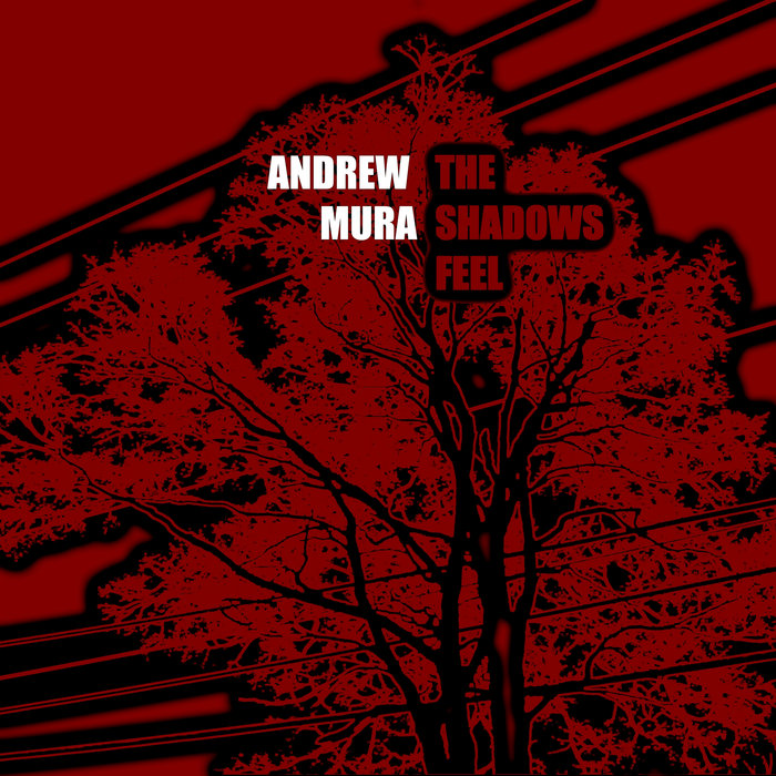 The Shadows Feel | Andrew Mura
