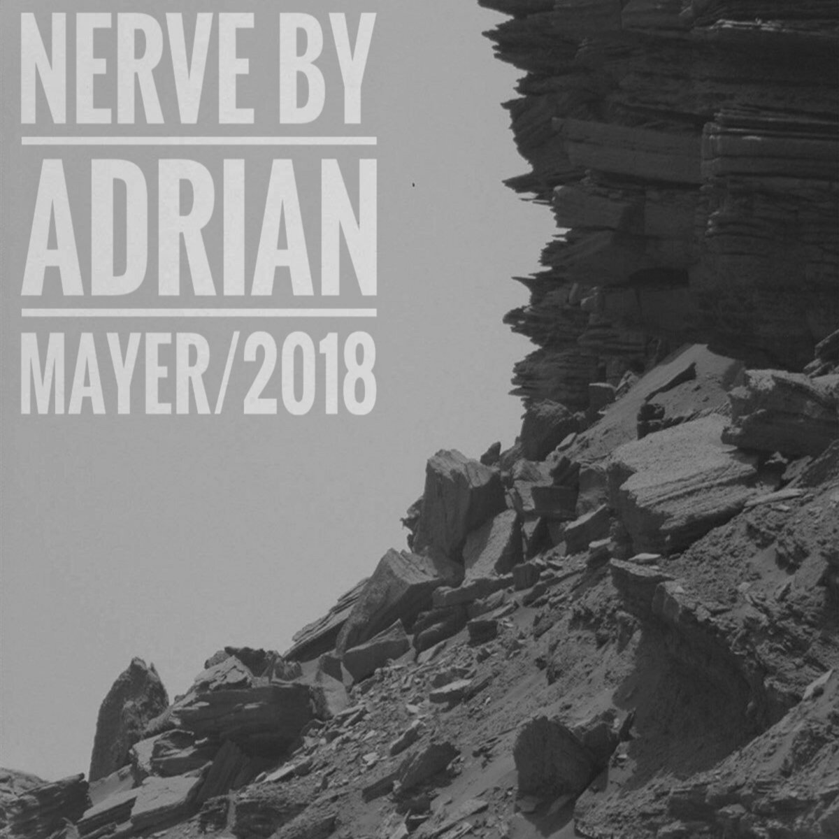 NERVE | Adrian Mayer