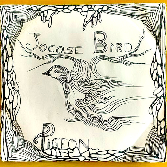 Jocose Bird | Jocose Bird