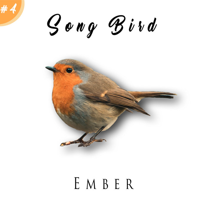 Ember | Song Bird