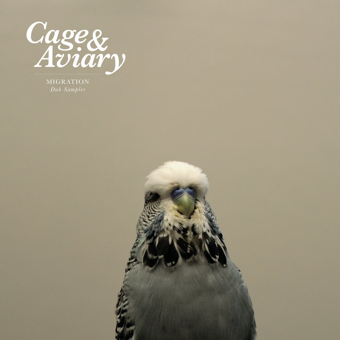 Migration Dub Sampler | Cage & Aviary
