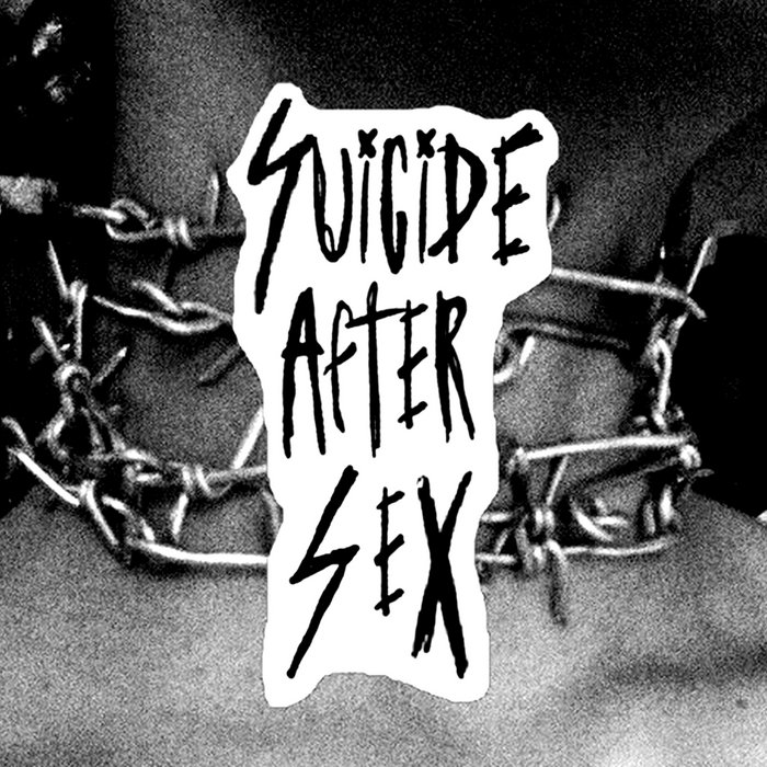 Suicide After Sex Suicide After Sex No Profit No Money Records