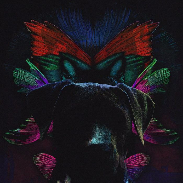 Pets | Of Norway & Linnea Dale