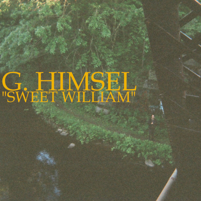 Sweet William | G. Himsel