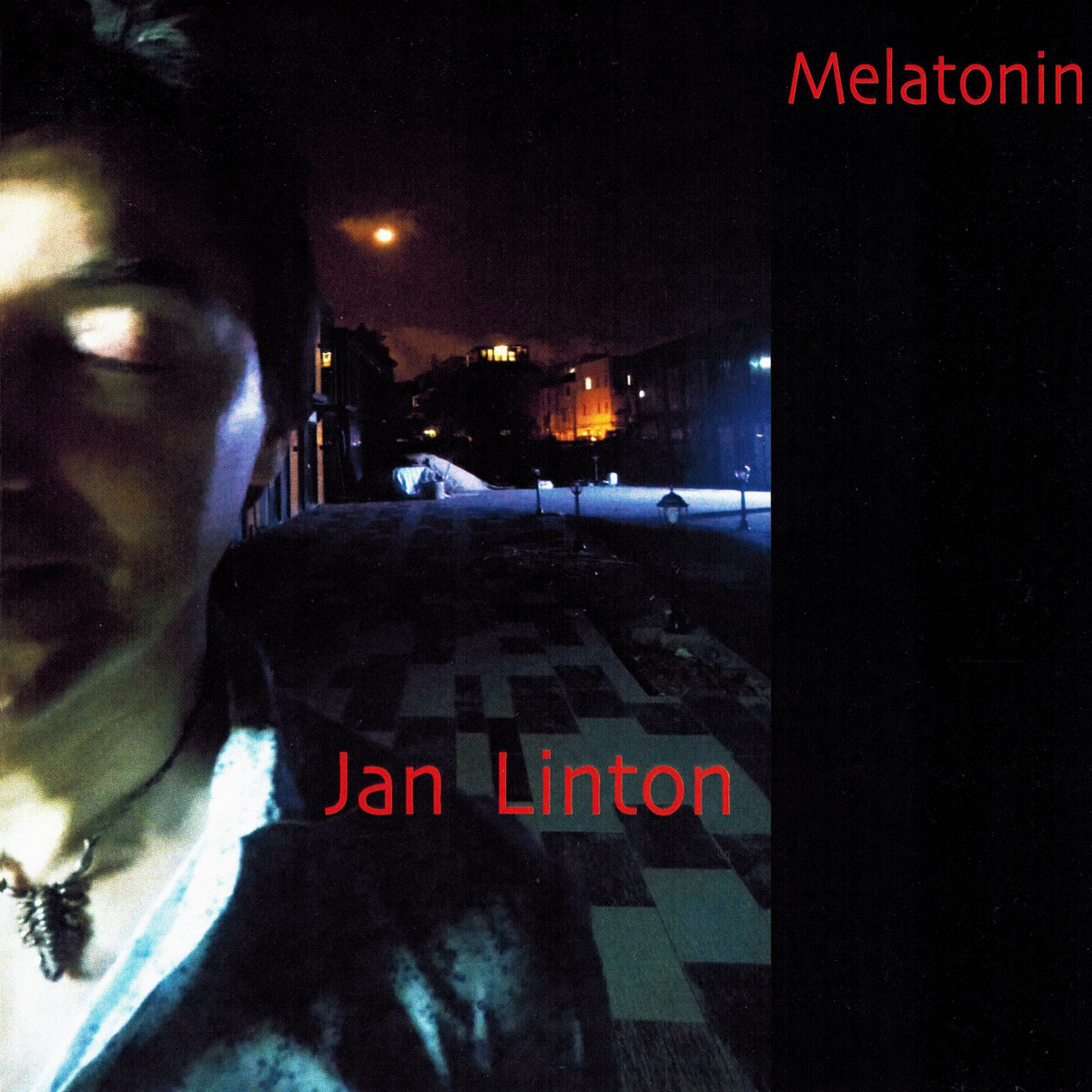 Goodnight Mr. Ginger | Jan Linton (w/ Fluid Japan's Todd Lewis and ...