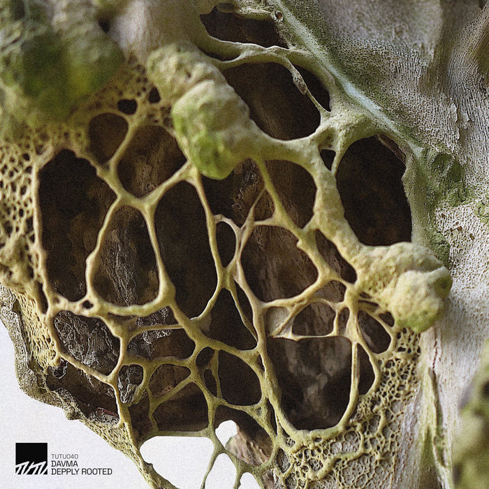 Depply Rooted | DAVMA | TUTU