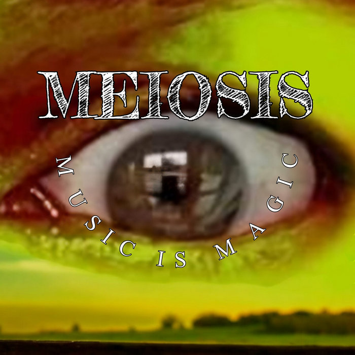 Music Is Magic... 25 Years of Meiosis & Nothing | Meiosis