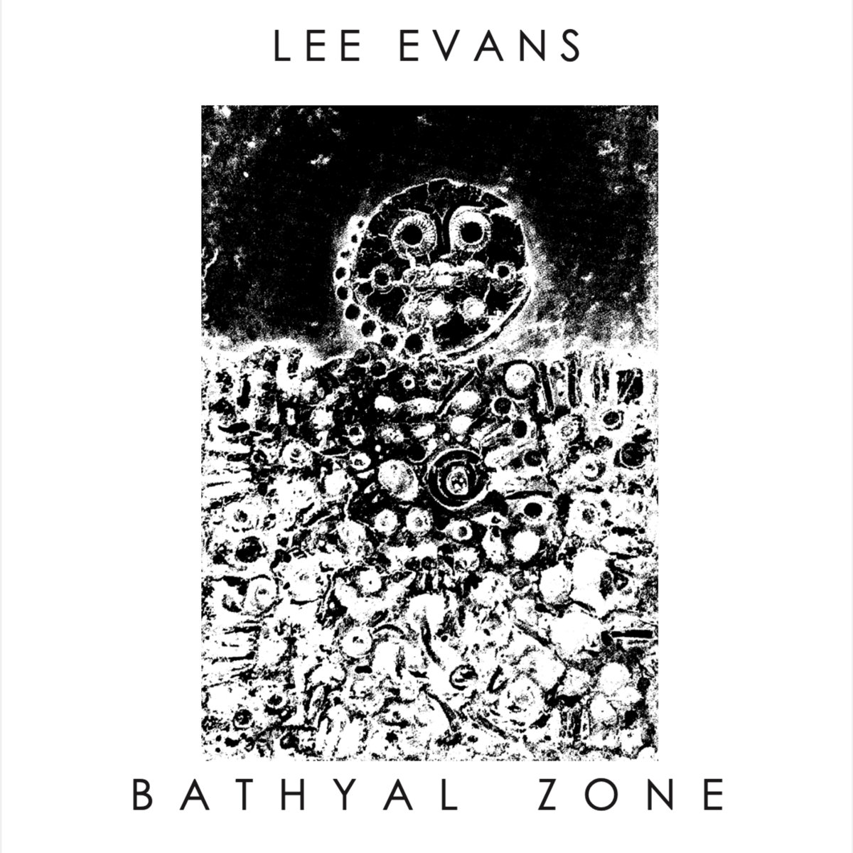 Bathyal Zone