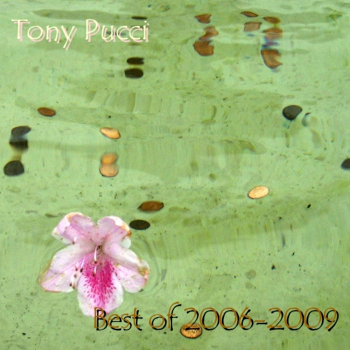 Best of 2006 - 2009 | Tony Pucci