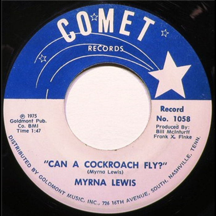 Can A Cockroach Fly | Myrna Lewis