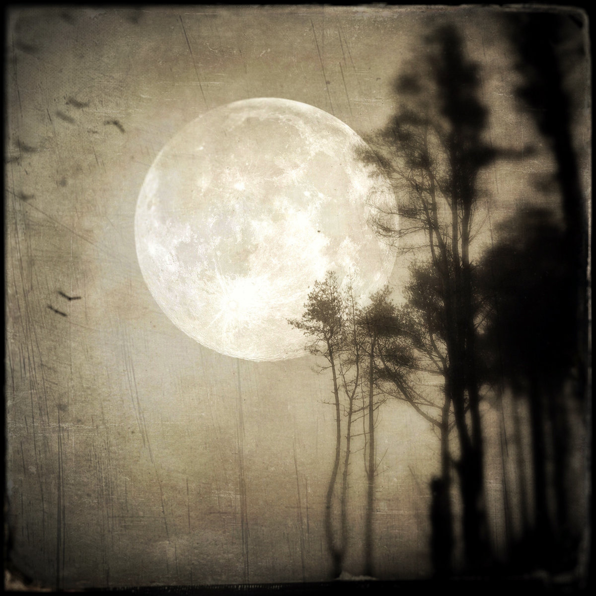 Spiritual Drift | Ali Murray