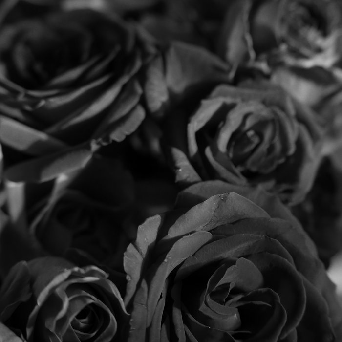 Sativa (feat. Marley) | C8xx | Cate Francesca Brooks