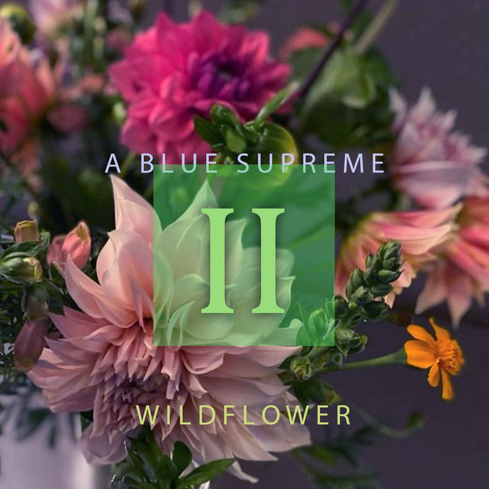 Wildflower [Part 2] | A Blue Supreme