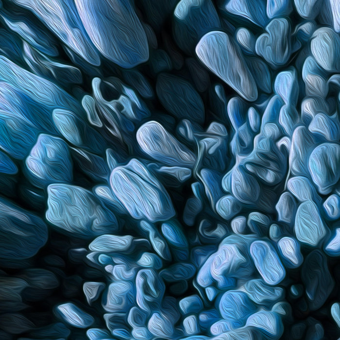 High Tide | Form Constant