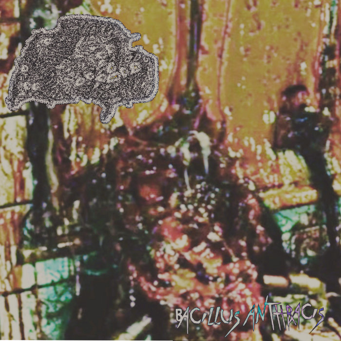 Bacillus Anthracis | SCAB MAGGOT