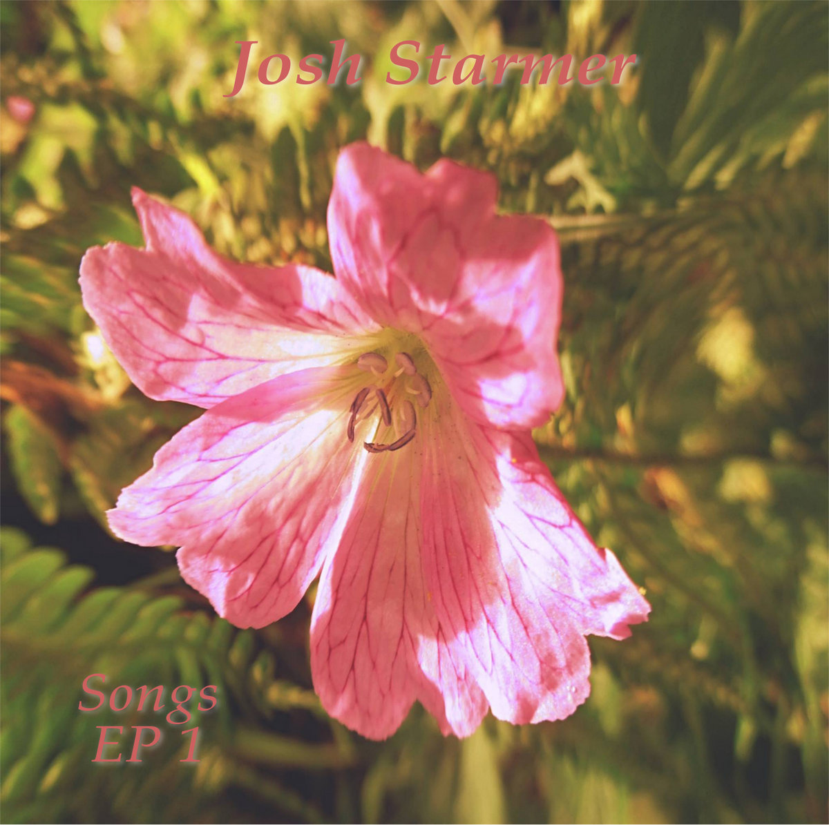 Songs EP 1 | Josh Starmer