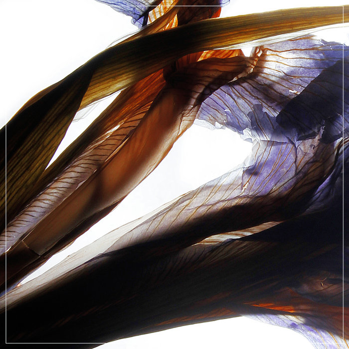 Confession | The Jack Wood