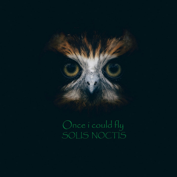 Once i could fly | Solis Noctis | Ingrid N