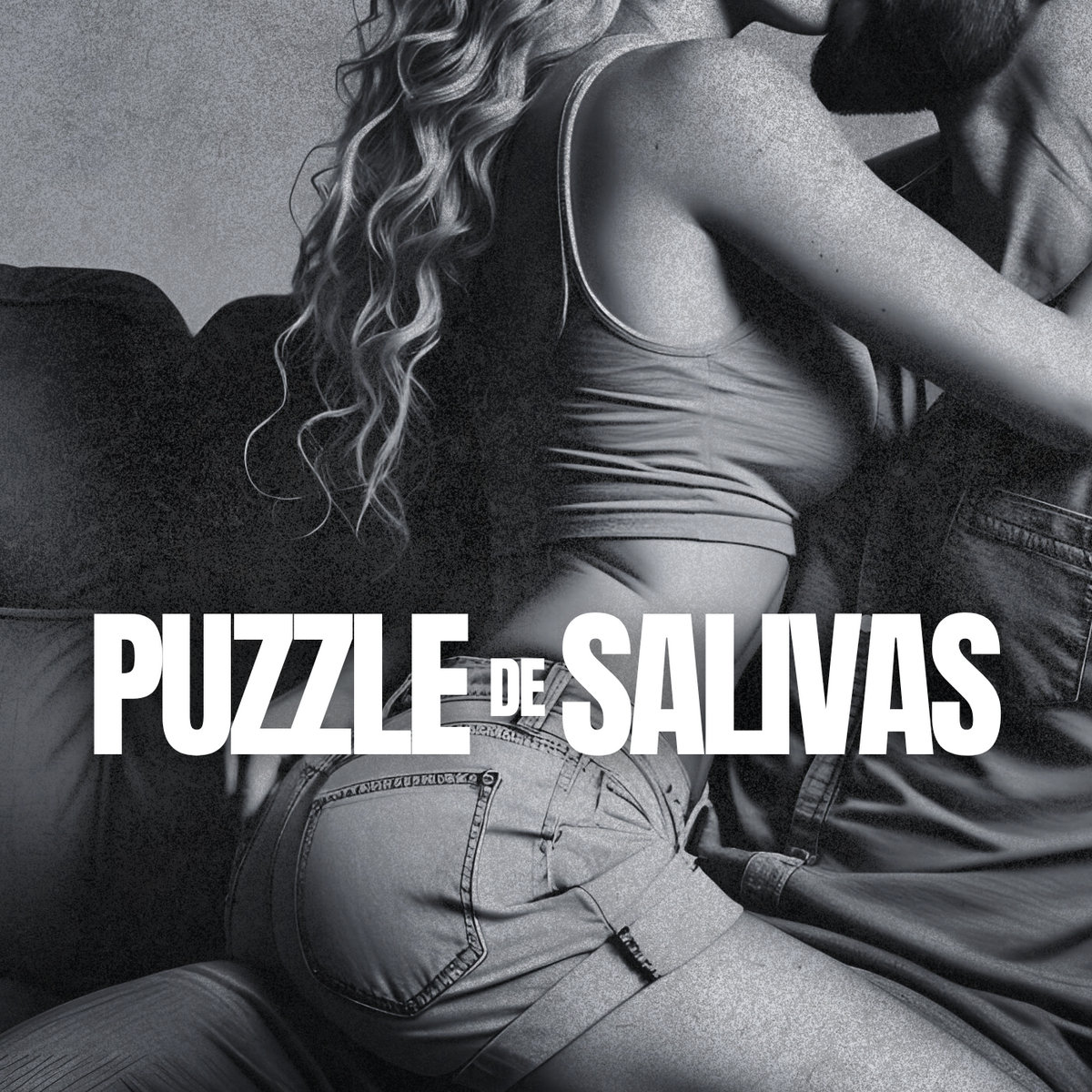 Puzzle de Salivas | Toro Fiaccah