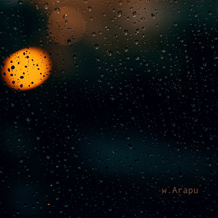 W. Arapu | Vincentiulian & Arapu | VincentIulian