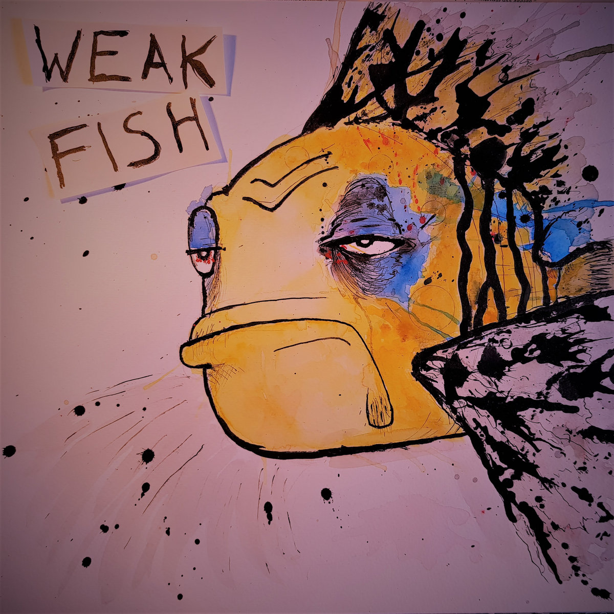Weak Fish | SWITCHBOARD | Bandhok Records