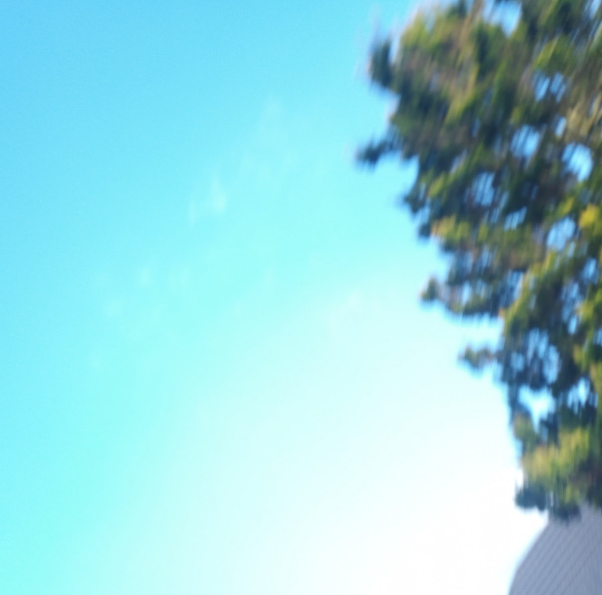 phase. | alex harding