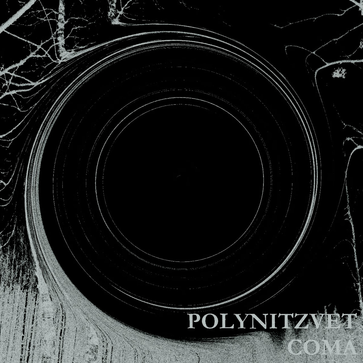 Coma [2023] | Polynitzvet | BEDNOISEROOM RECORDS