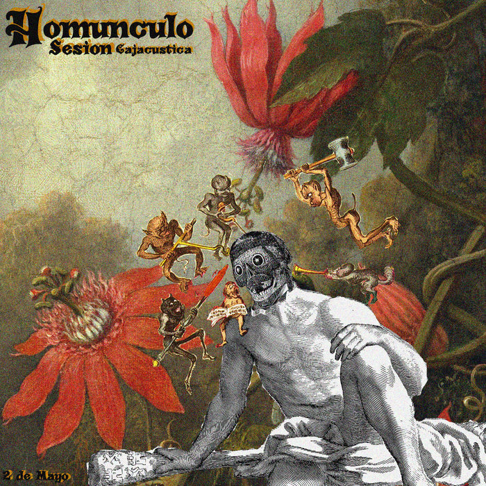 Sesion Cajacustica | Homunculo