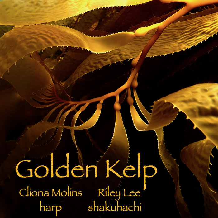 Golden Kelp | Cliona Molins & Riley Lee | Cliona Molins