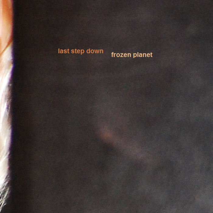 frozen planet | last step down