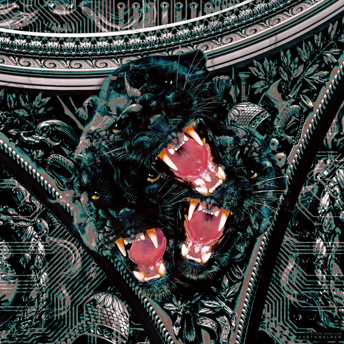 Earthwalker | Clyde Shelton