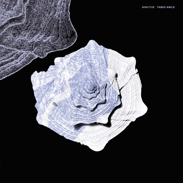 Minutiae | Fabio Anile