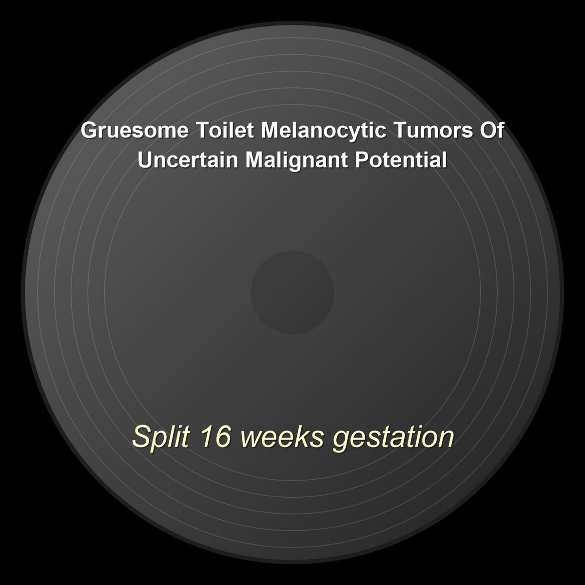 Split 16 weeks gestation | Gruesome Toilet