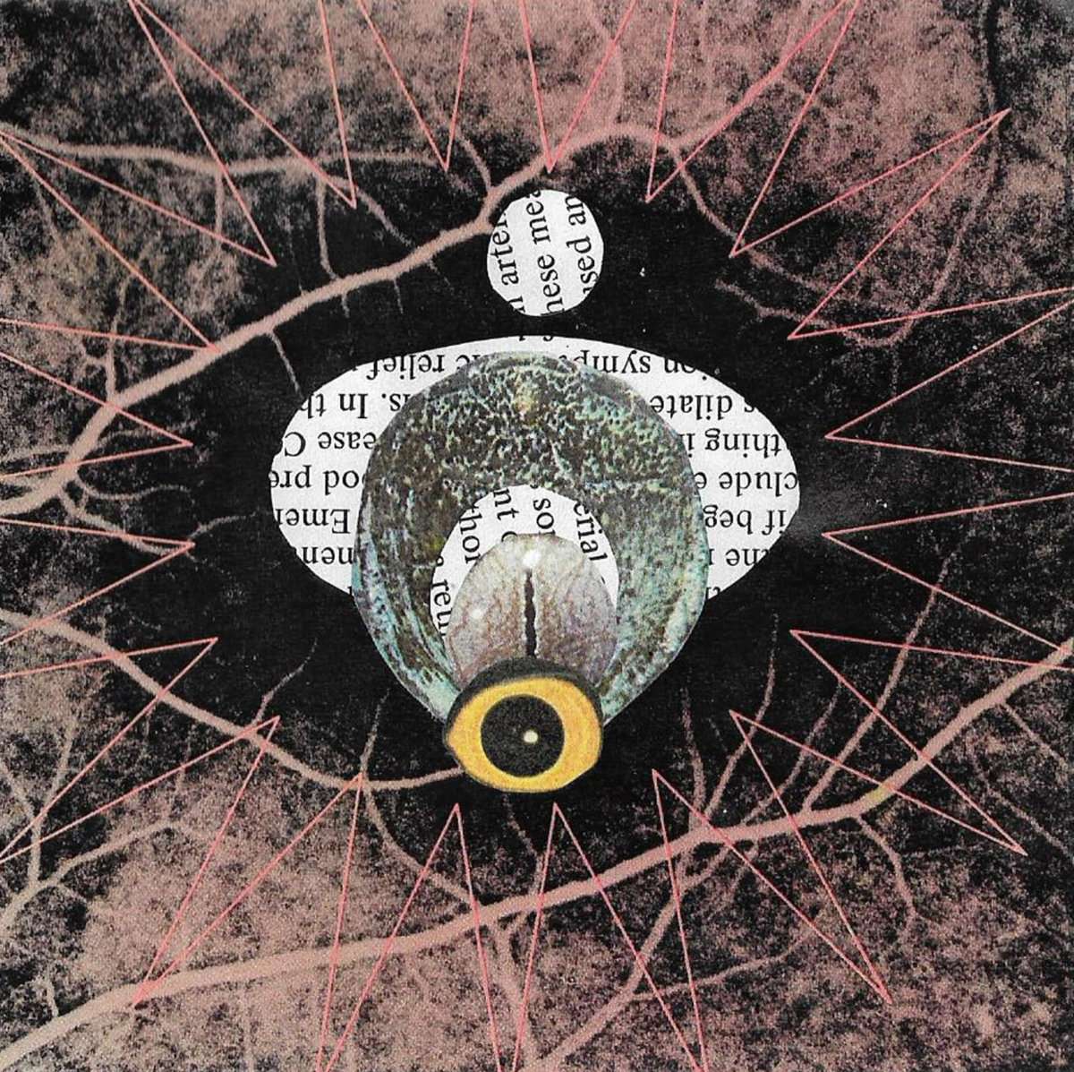 Small Town Optometry | Duo Dacryops | MakeWorldGooderRecordings