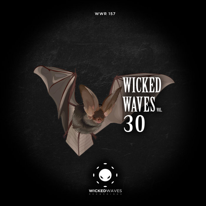Wicked Waves Vol. 30 [Wicked Waves Recordings] | Various Artists ...